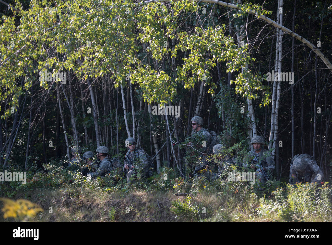 U.S. Soldiers secure a landing zone during a Situational Training ...