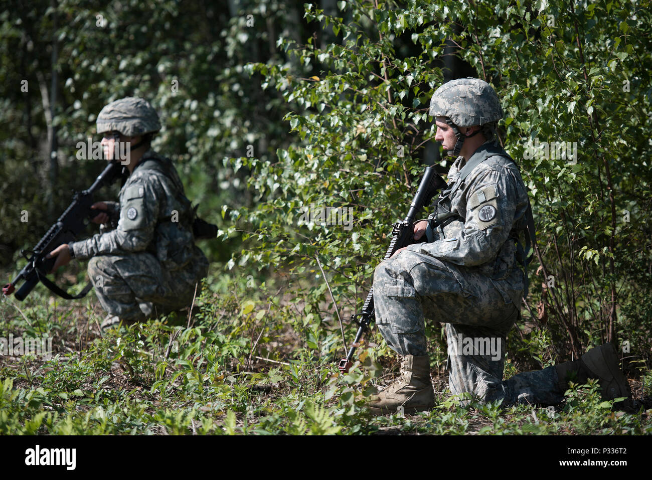 U.S. Soldiers secure a landing zone during a Situational Training ...