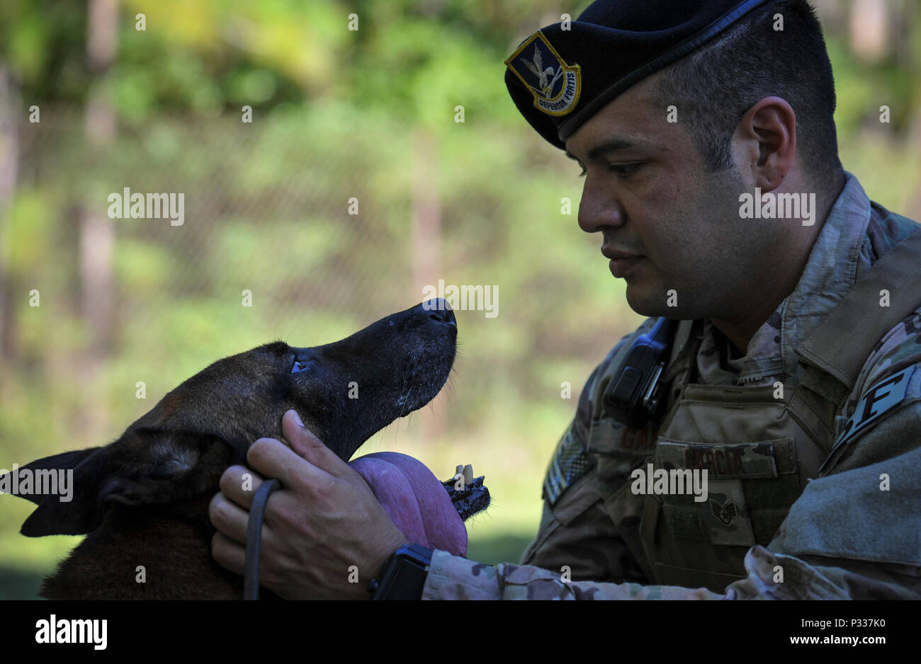 1st sosfs hi-res stock photography and images - Alamy