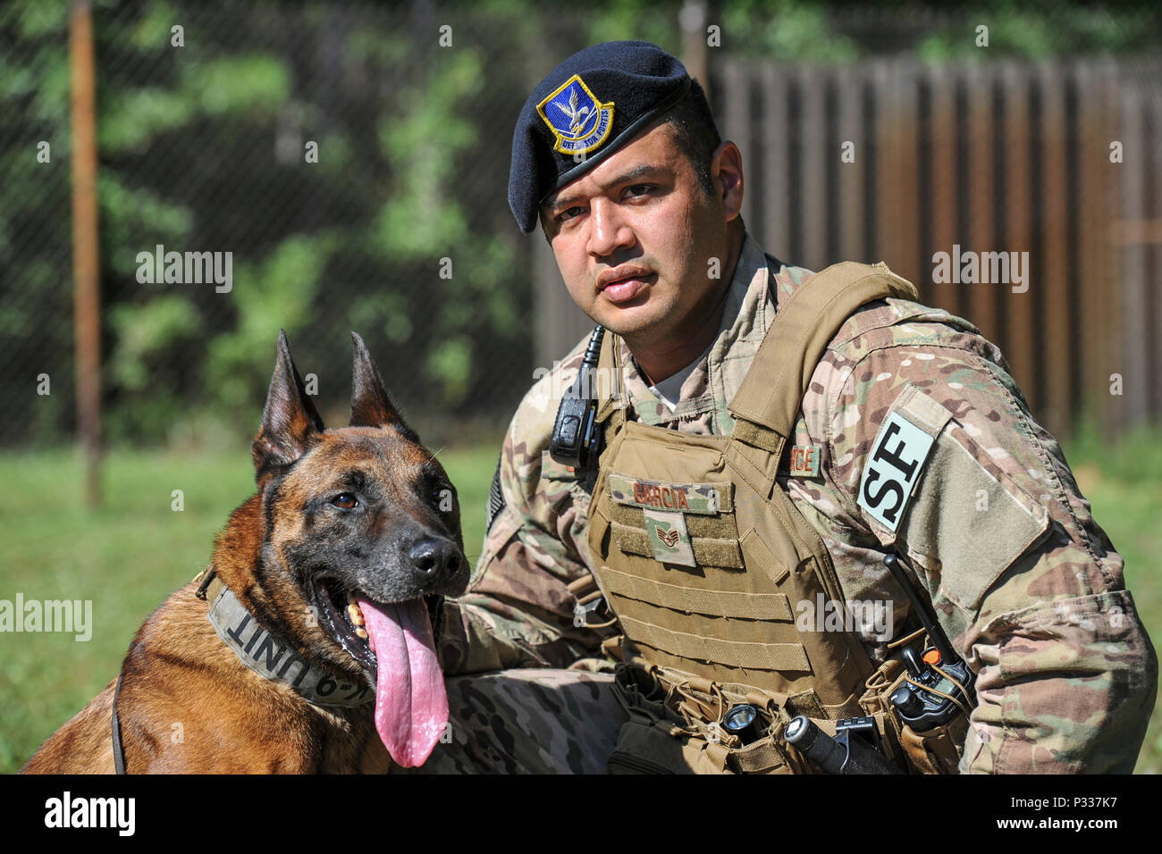 Ziko, a military working dog with the 1st Special Operations Security ...
