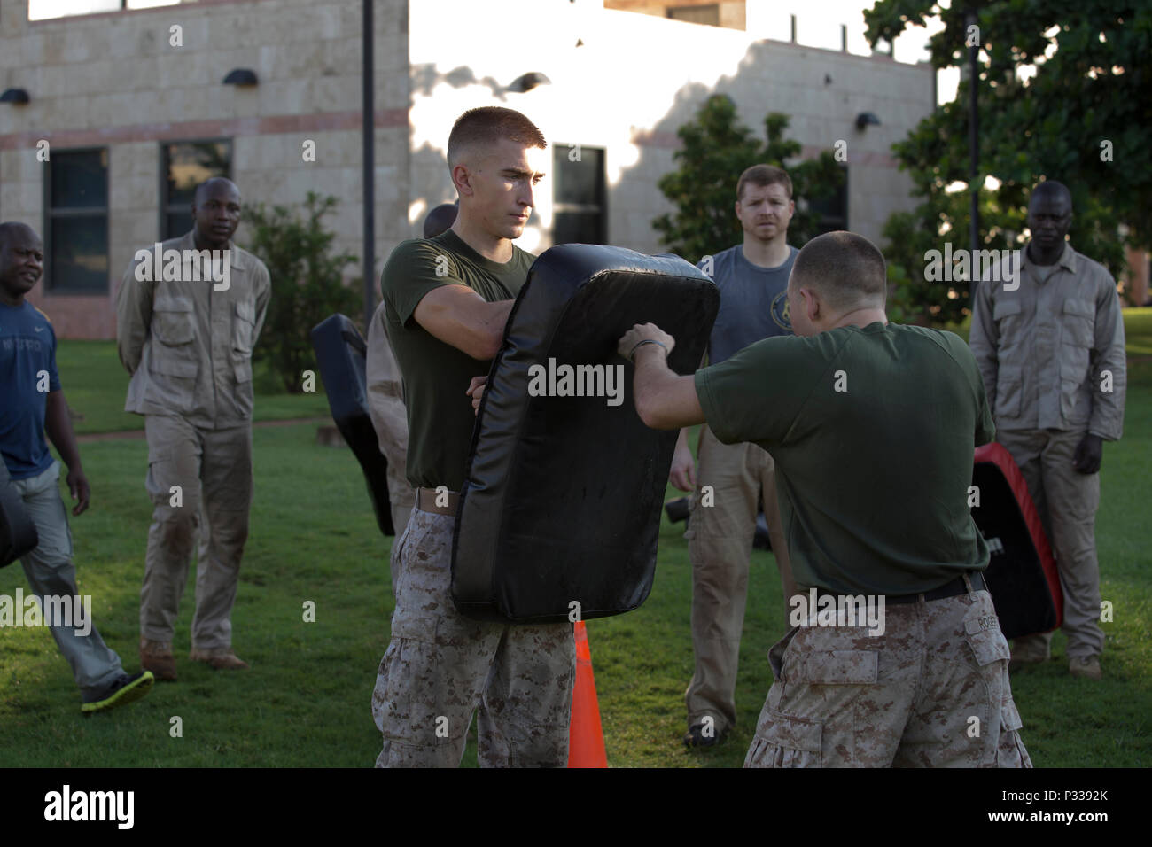 Special program for embassy augmentation and response hi-res stock ...