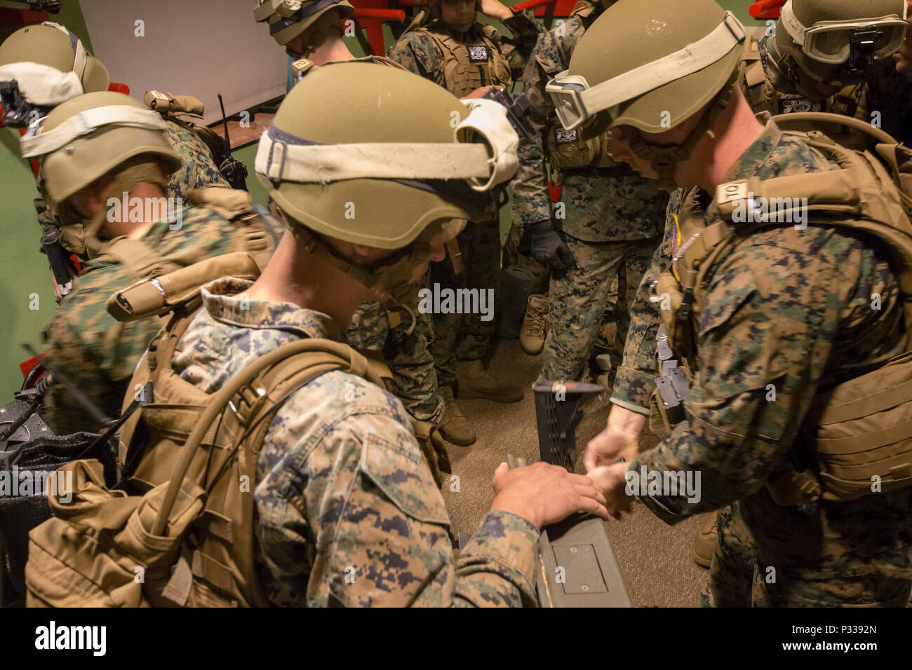 Diplomatic Protection Group Stock Photos & Diplomatic Protection Group ...