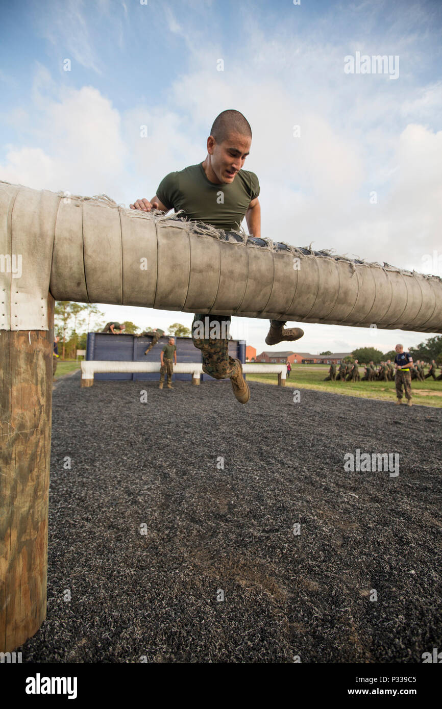 Bober hi-res stock photography and images - Alamy