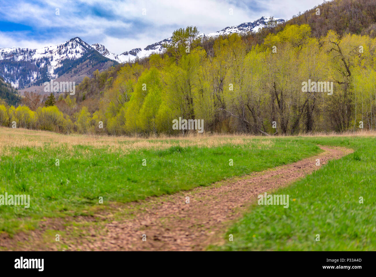 Trail in Big Springs Park of Provo, Utah with view of mountains in the ...