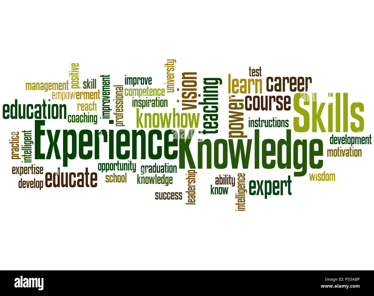 Knowledge Skills Experience, word cloud concept on white background ...