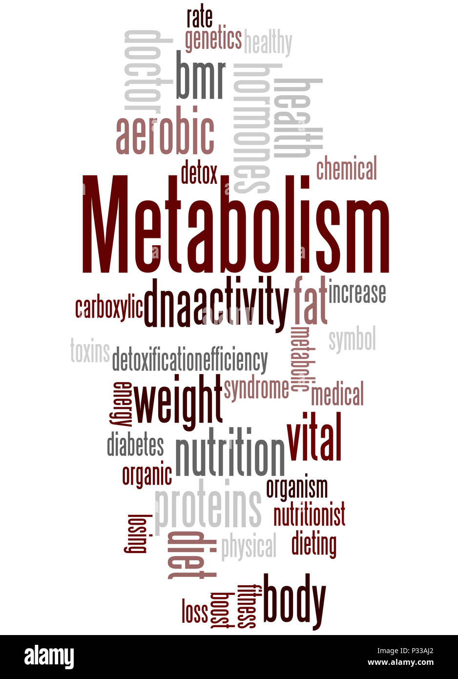 Metabolism, word cloud concept on white background Stock Photo - Alamy