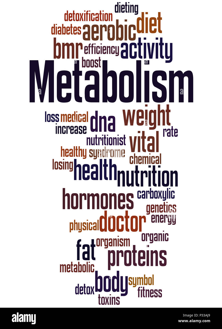 Fat Metabolism Stock Photos & Fat Metabolism Stock Images - Alamy