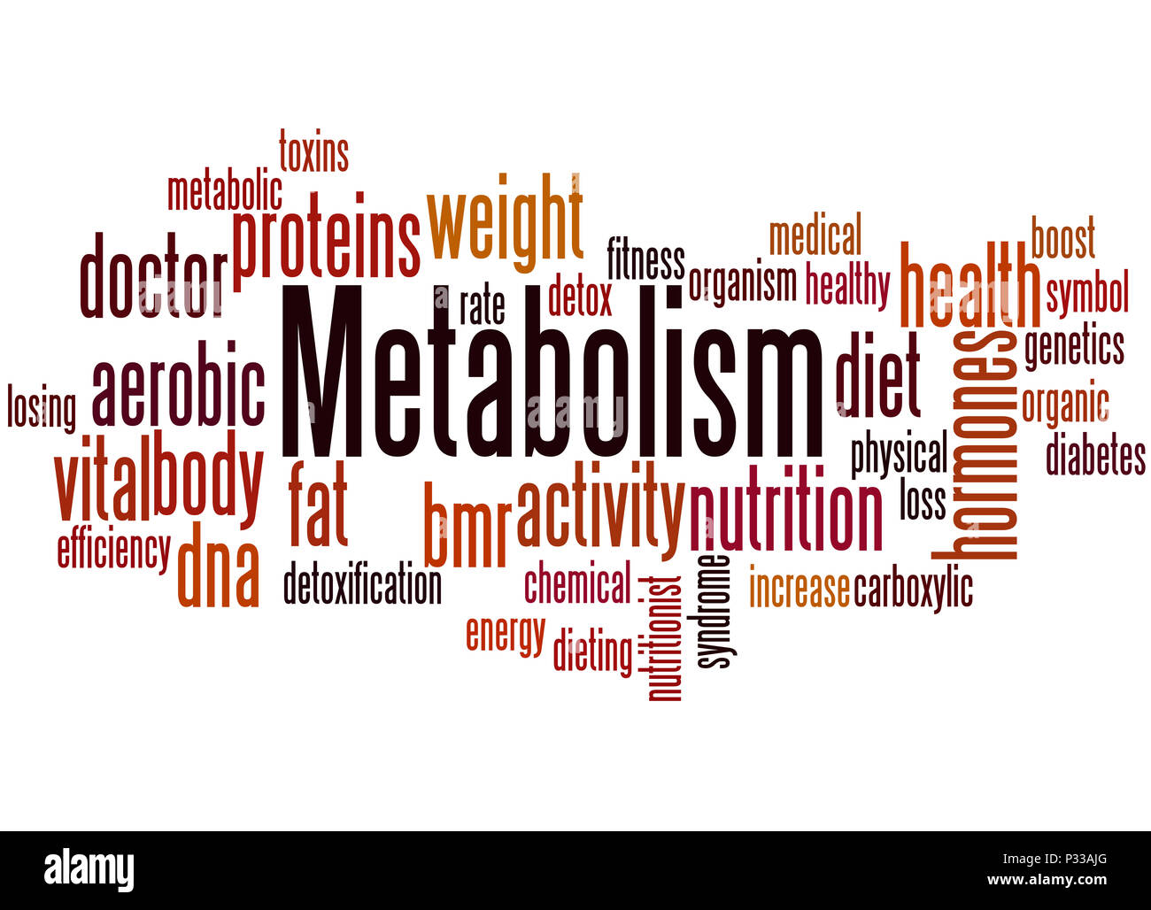 Metabolism, word cloud concept on white background Stock Photo - Alamy