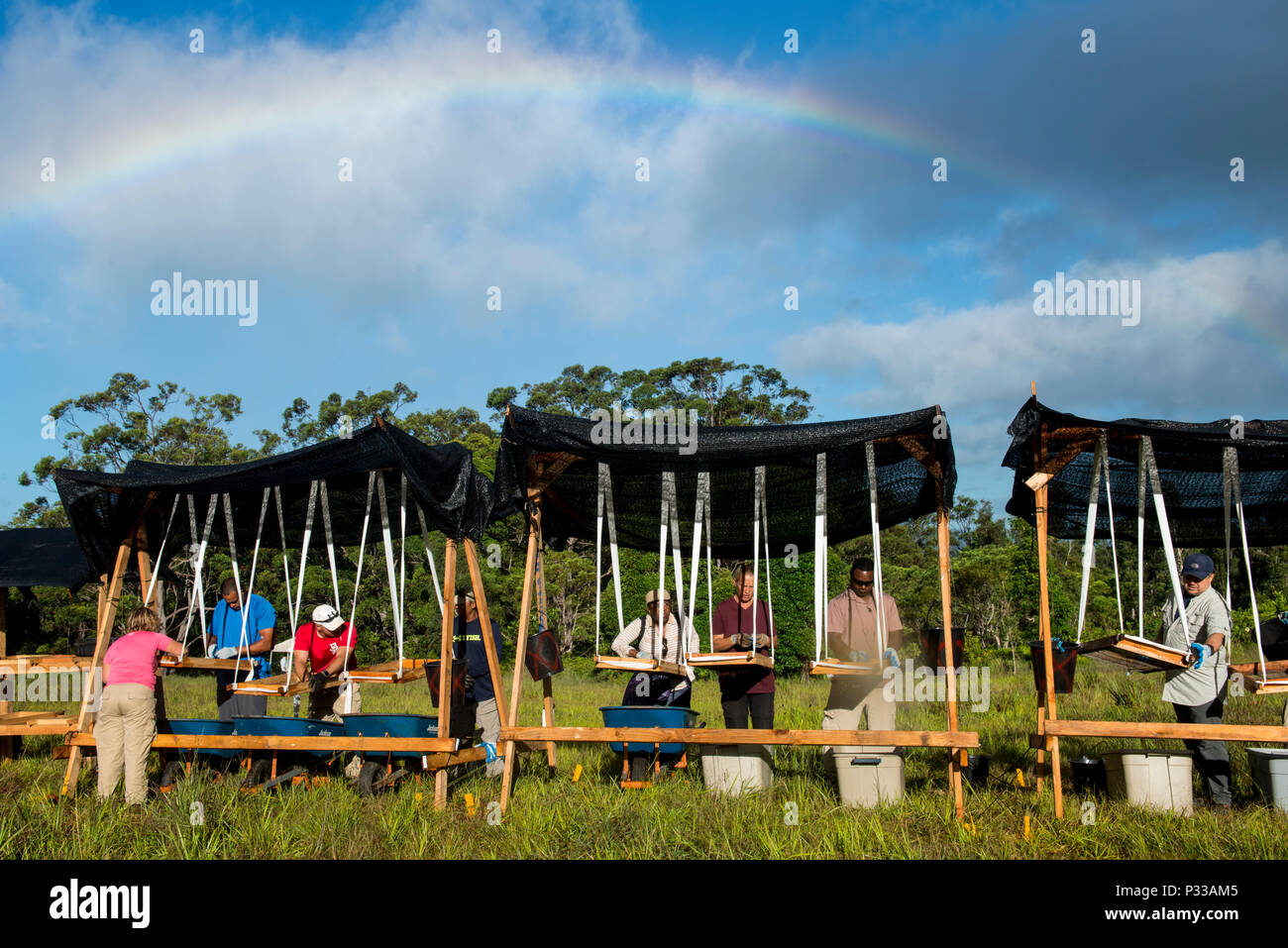 Recovery team members of the Defense POW/MIA Accounting Agency (DPAA ...