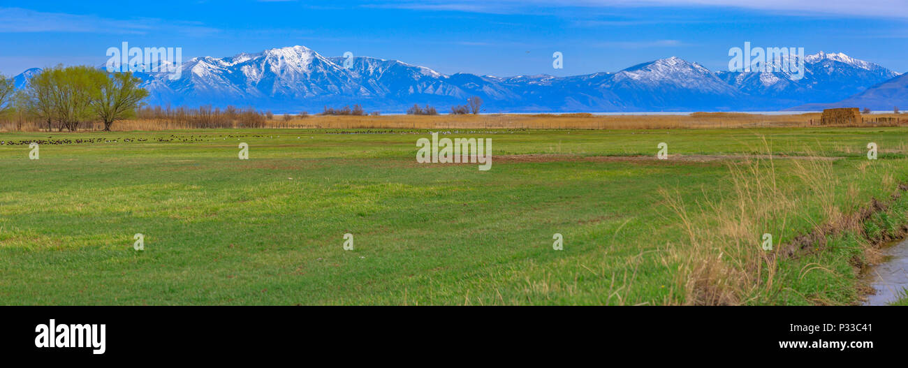 View of Santaquin Peak from Lehi Farm in Utah Valley Stock Photo - Alamy