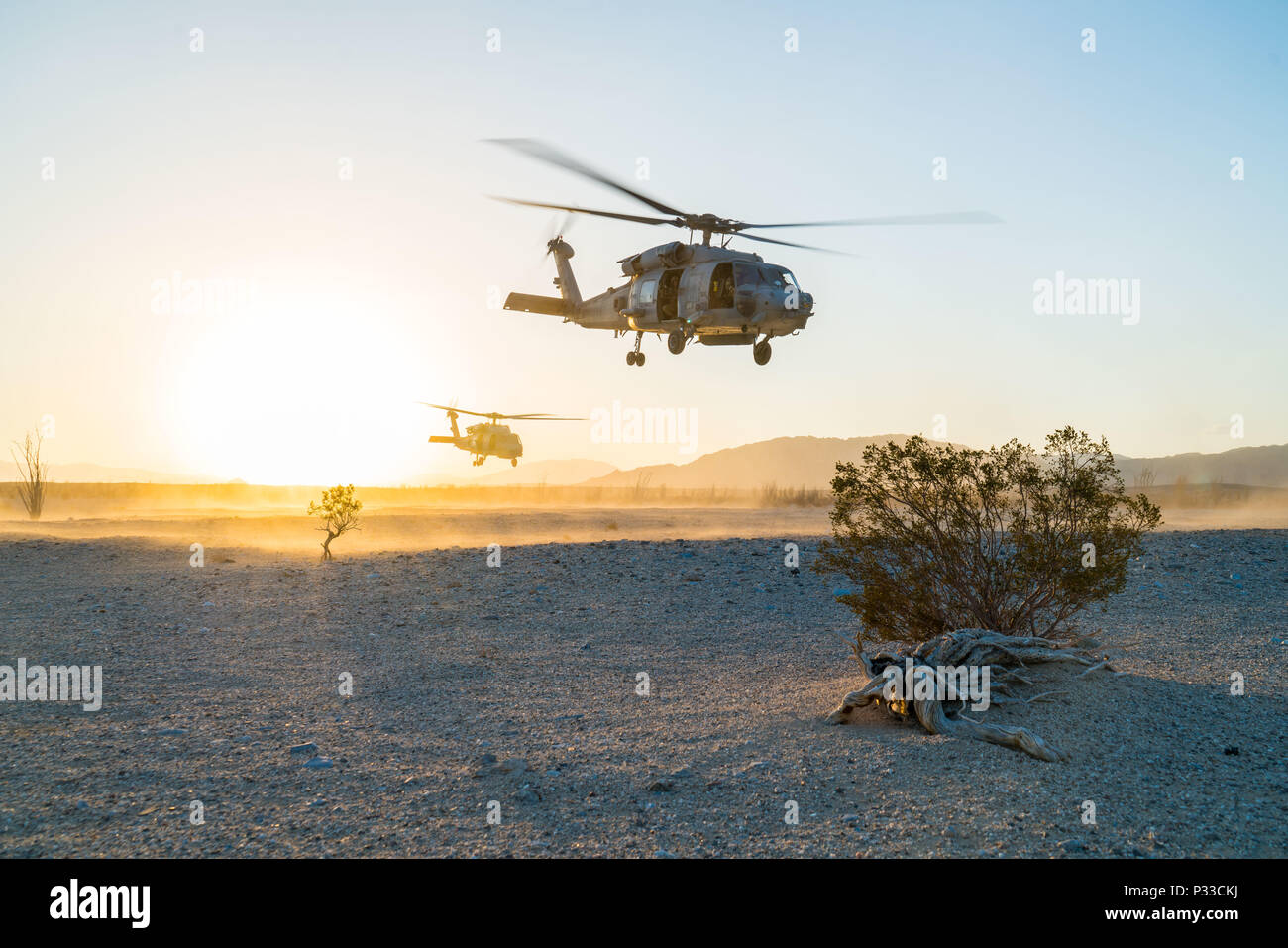 Pilots and aircrew assigned to the Firehawks of Helicopter Sea Combat ...