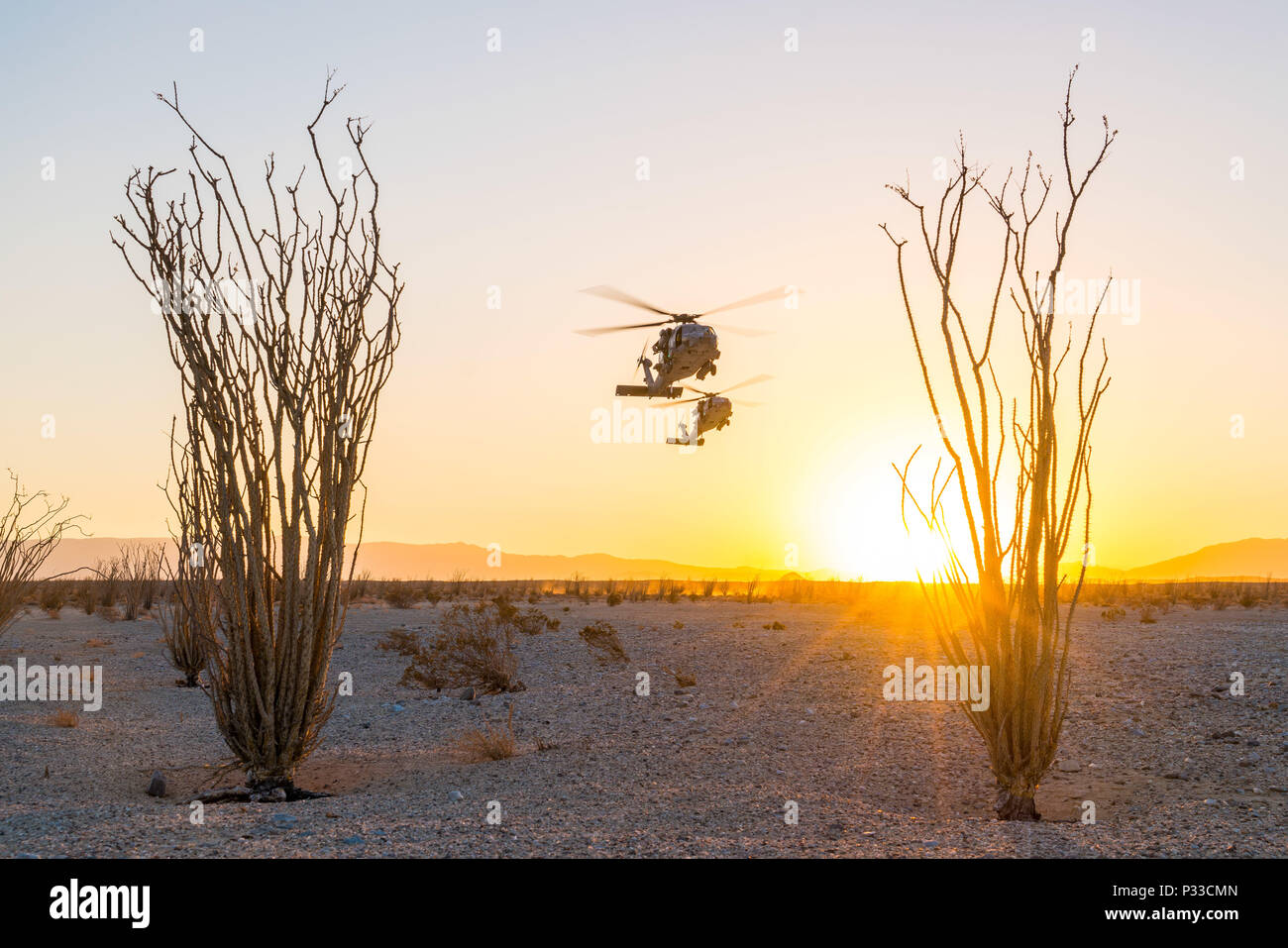 Pilots and aircrew assigned to the Firehawks of Helicopter Sea Combat ...