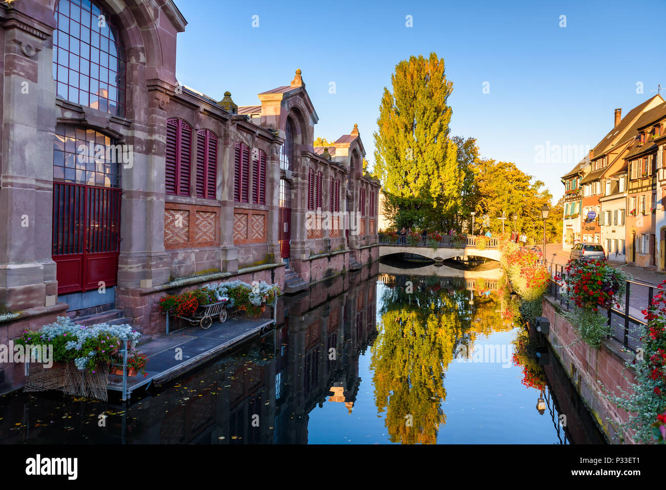 Beautiful view of the historic town of Colmar, also known as Little ...