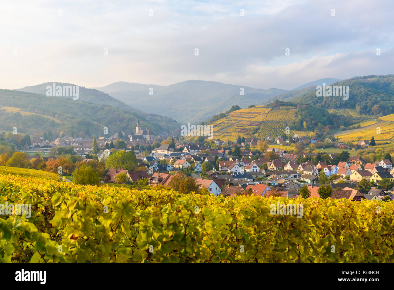 Village of Barr in Vineyard landscape in region Alsace, France Stock ...
