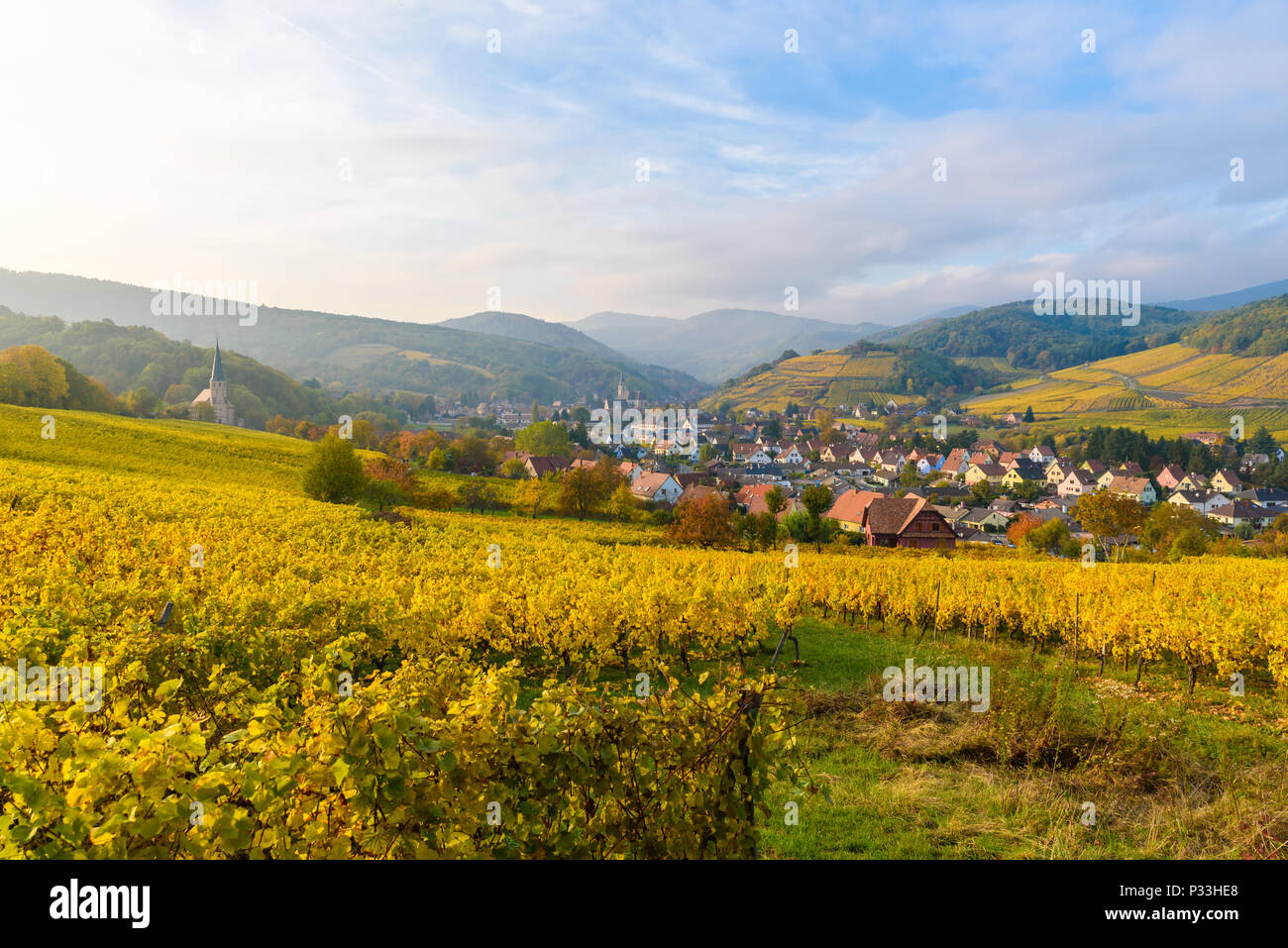 Village of Barr in Vineyard landscape in region Alsace, France Stock ...