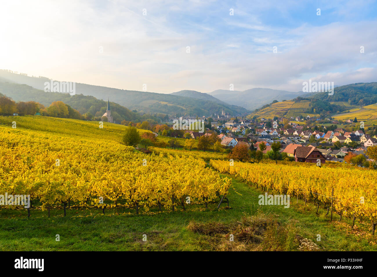 Village of Barr in Vineyard landscape in region Alsace, France Stock ...