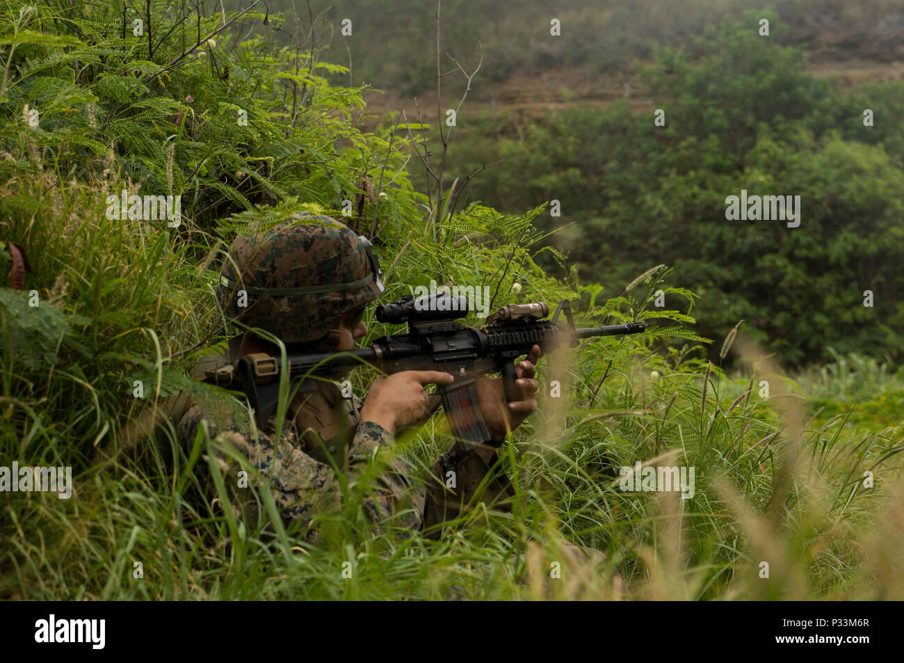 0311 rifleman hi-res stock photography and images - Alamy