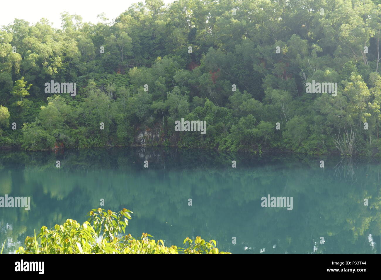 Crystal green limestone quarry water surrounding trees(natural Stock ...