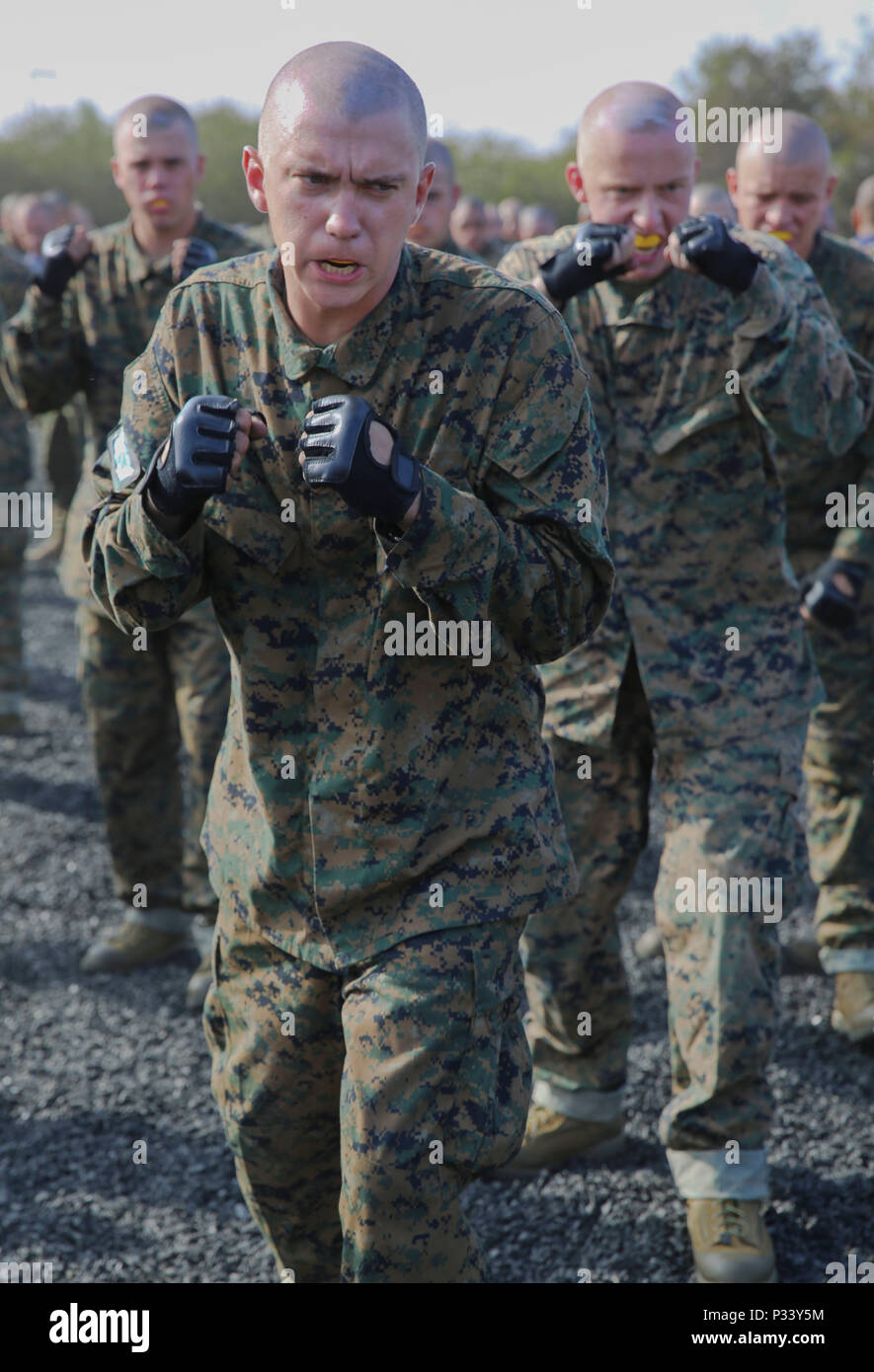 Recruits from Mike Company, 3rd Recruit Training Battalion, assume the ...