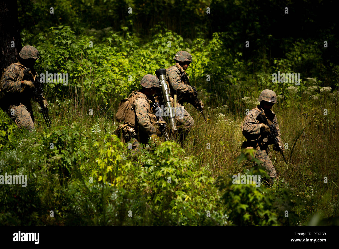 U.S. Marines with 2nd Light Armored Reconnaissance Battalion, Bravo ...