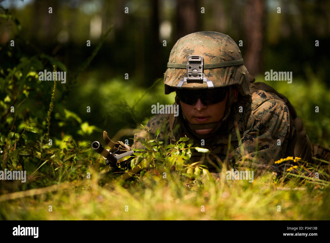 A U.S. Marine with 2nd Light Armored Reconnaissance Battalion, Bravo ...