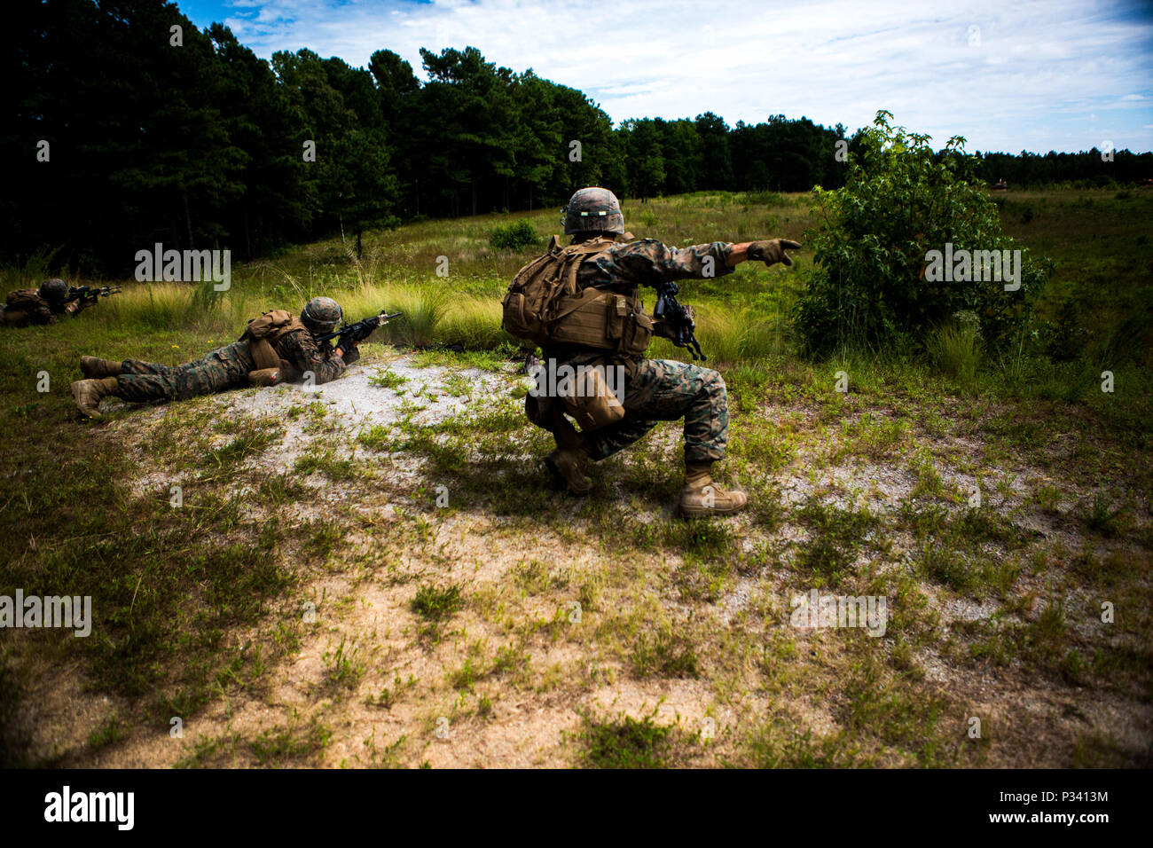 U.S. Marines with 2nd Light Armored Reconnaissance Battalion, Bravo ...
