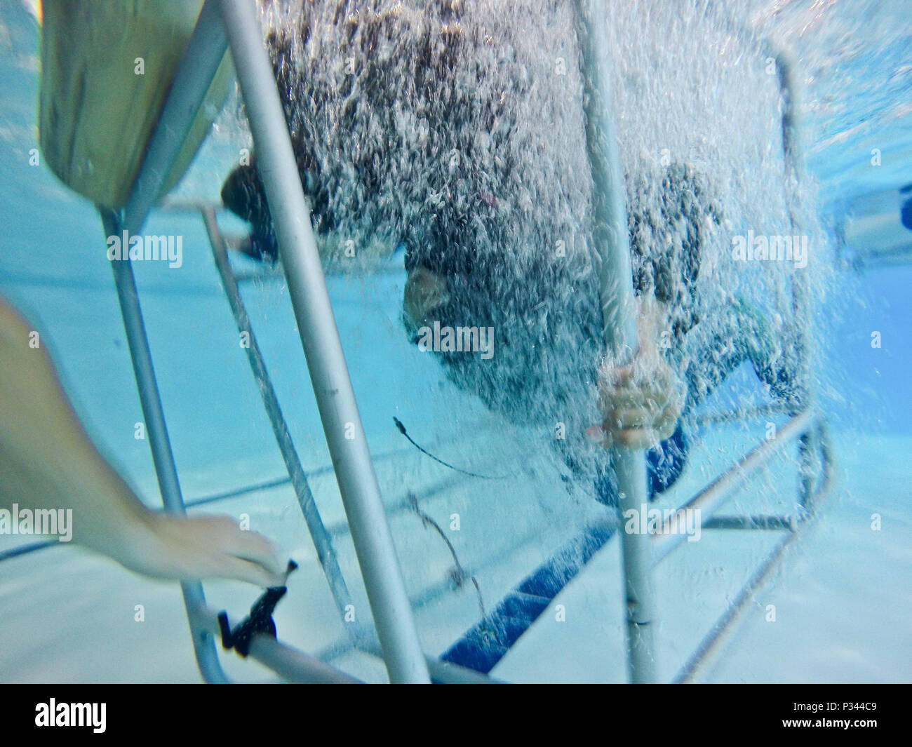 Aviation survival technicians from Air Station Houston conduct shallow ...