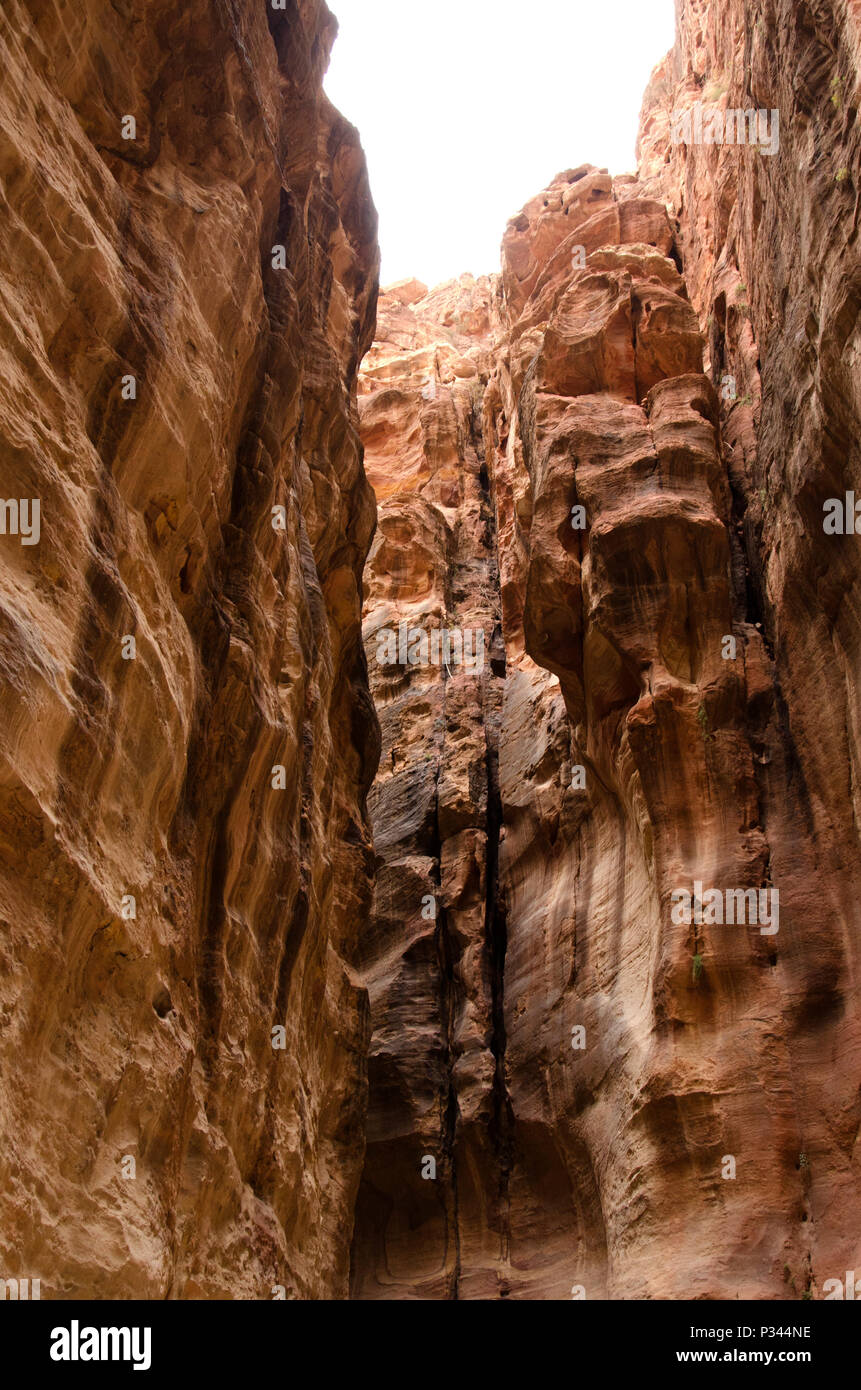Jordan petra pink city hi-res stock photography and images - Alamy