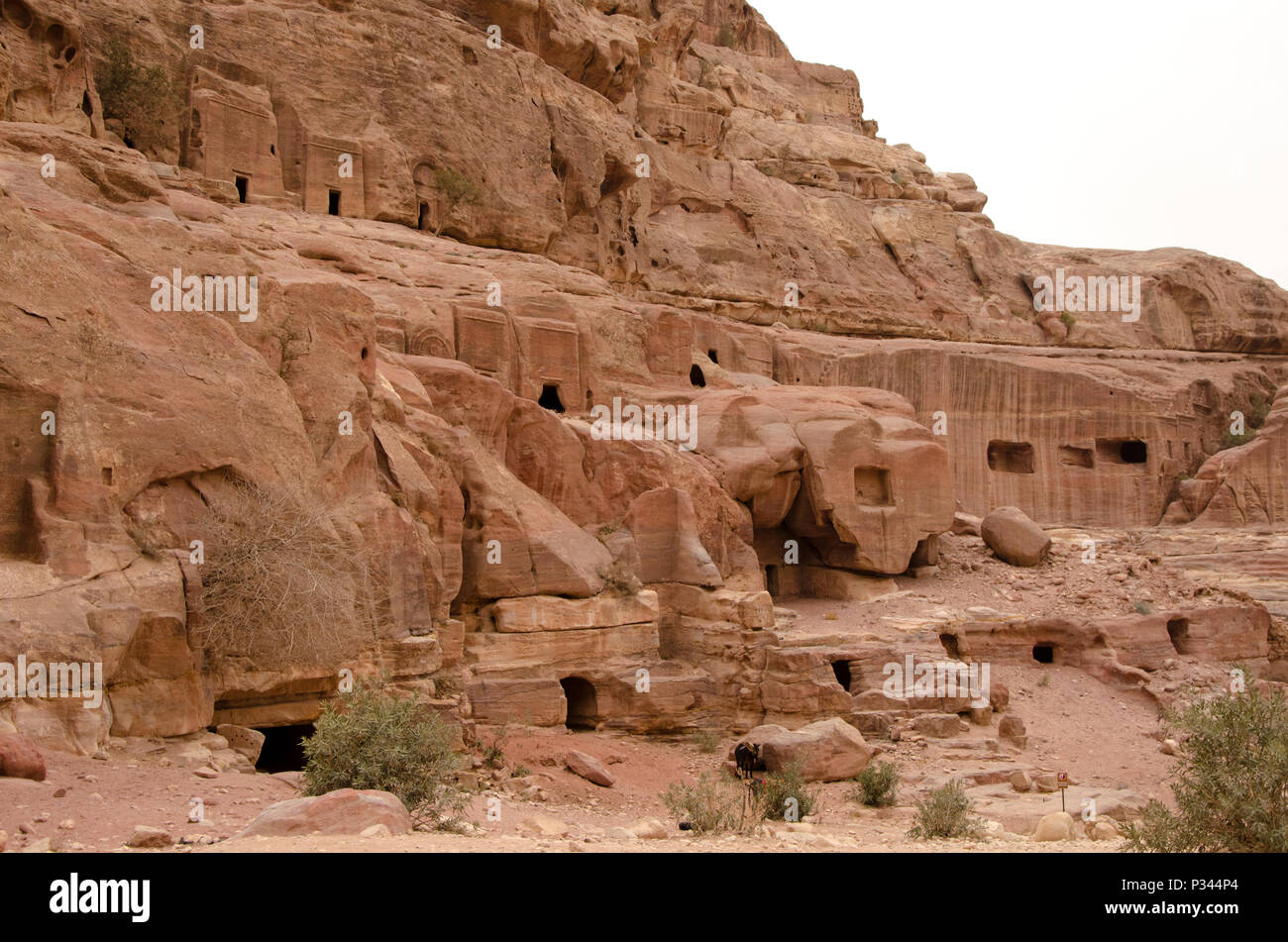 Caves in the world heritage site of Petra, Jordan, Middle East Stock ...