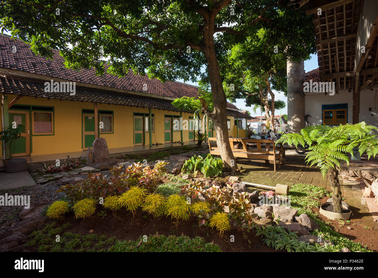 Garden with Bonsai trees on Java, Indonesia Stock Photo - Alamy