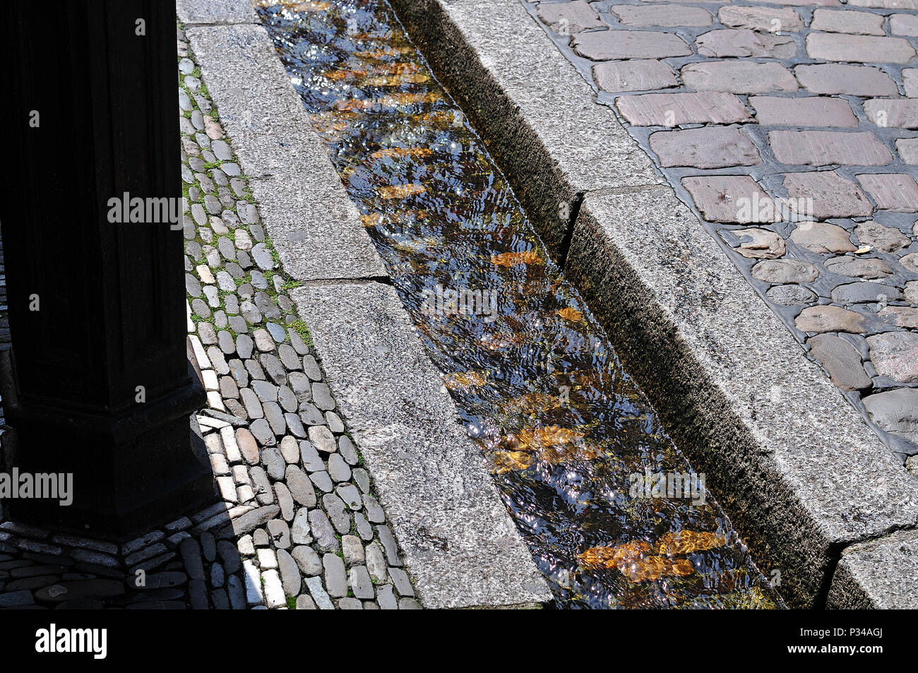 Bächle, water-filled runnels in old town of Freiburg, a city in black ...