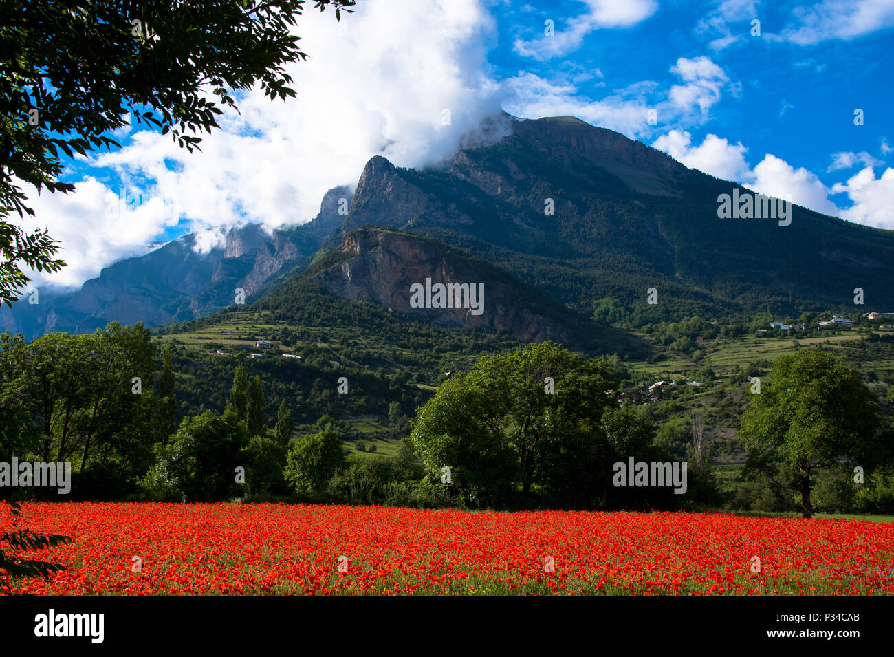 Poppy Waterfall High Resolution Stock Photography and Images - Alamy