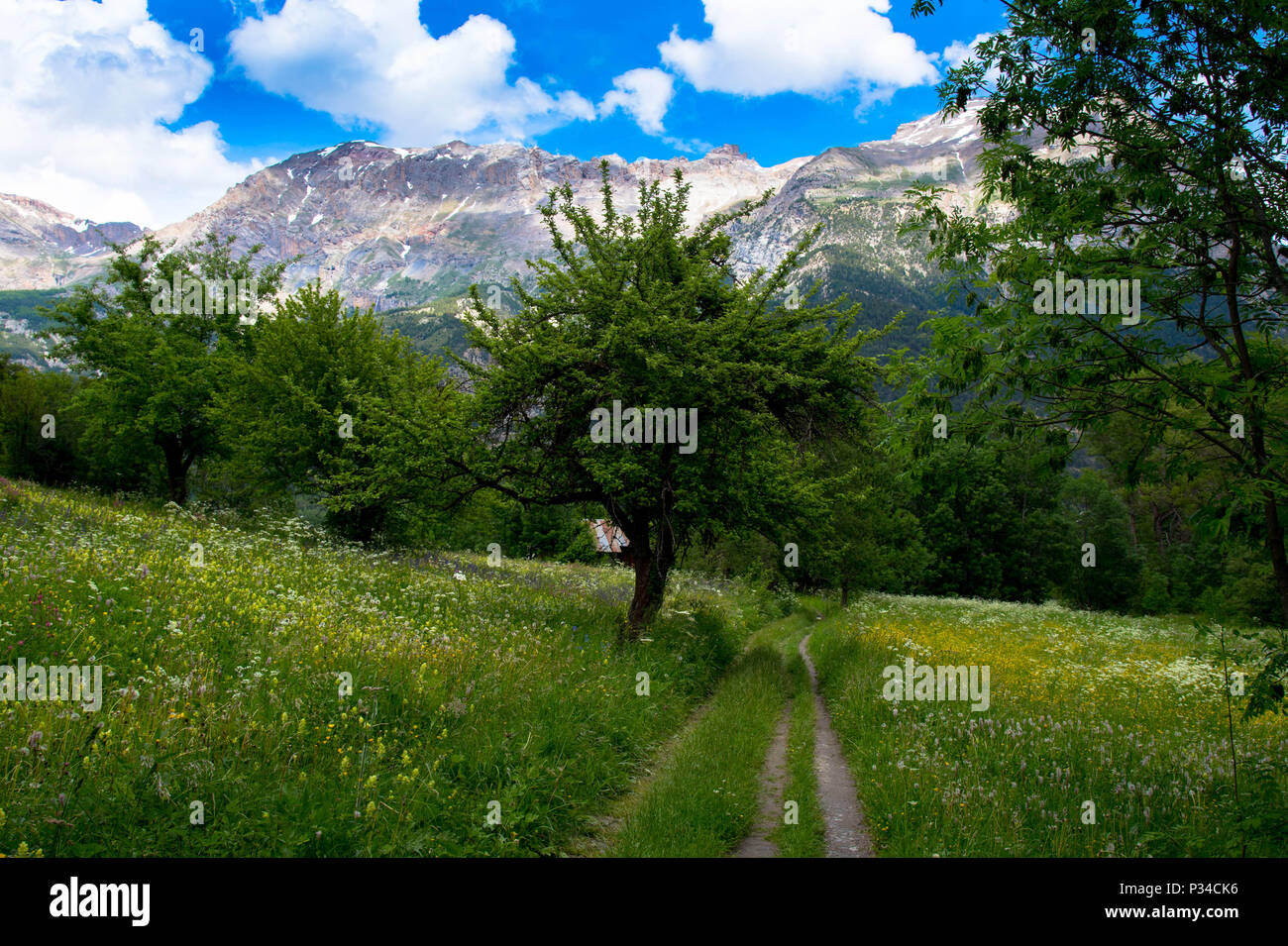 Vallouise valley hi-res stock photography and images - Alamy