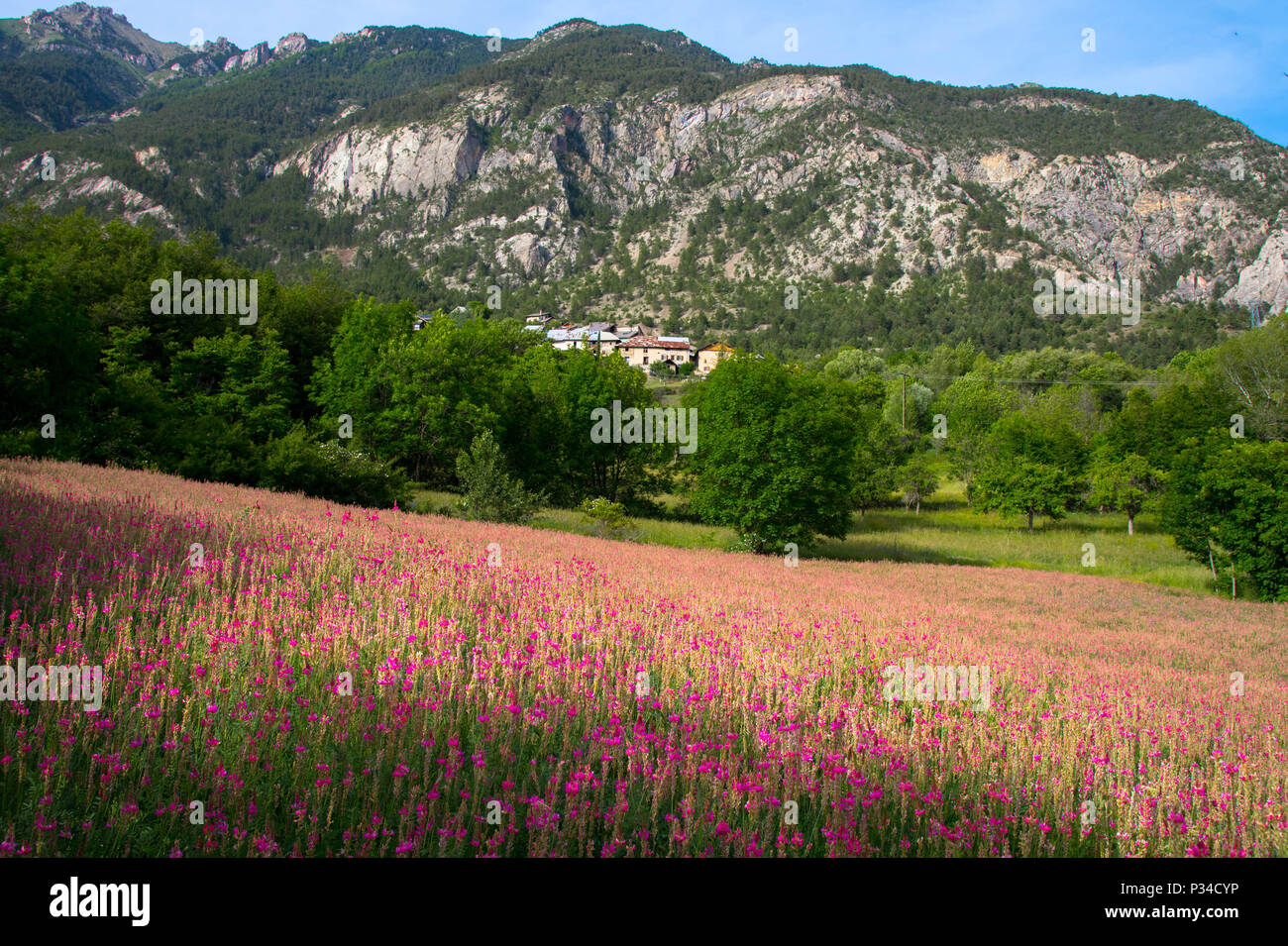 Plateau de guillestre hi-res stock photography and images - Alamy