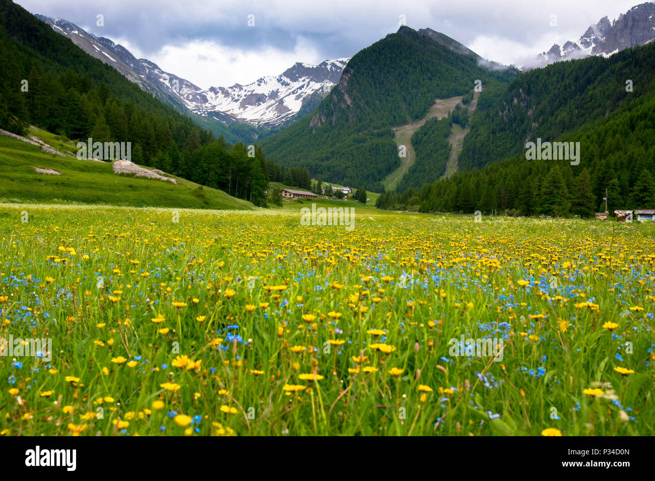 Queyras hi-res stock photography and images - Alamy