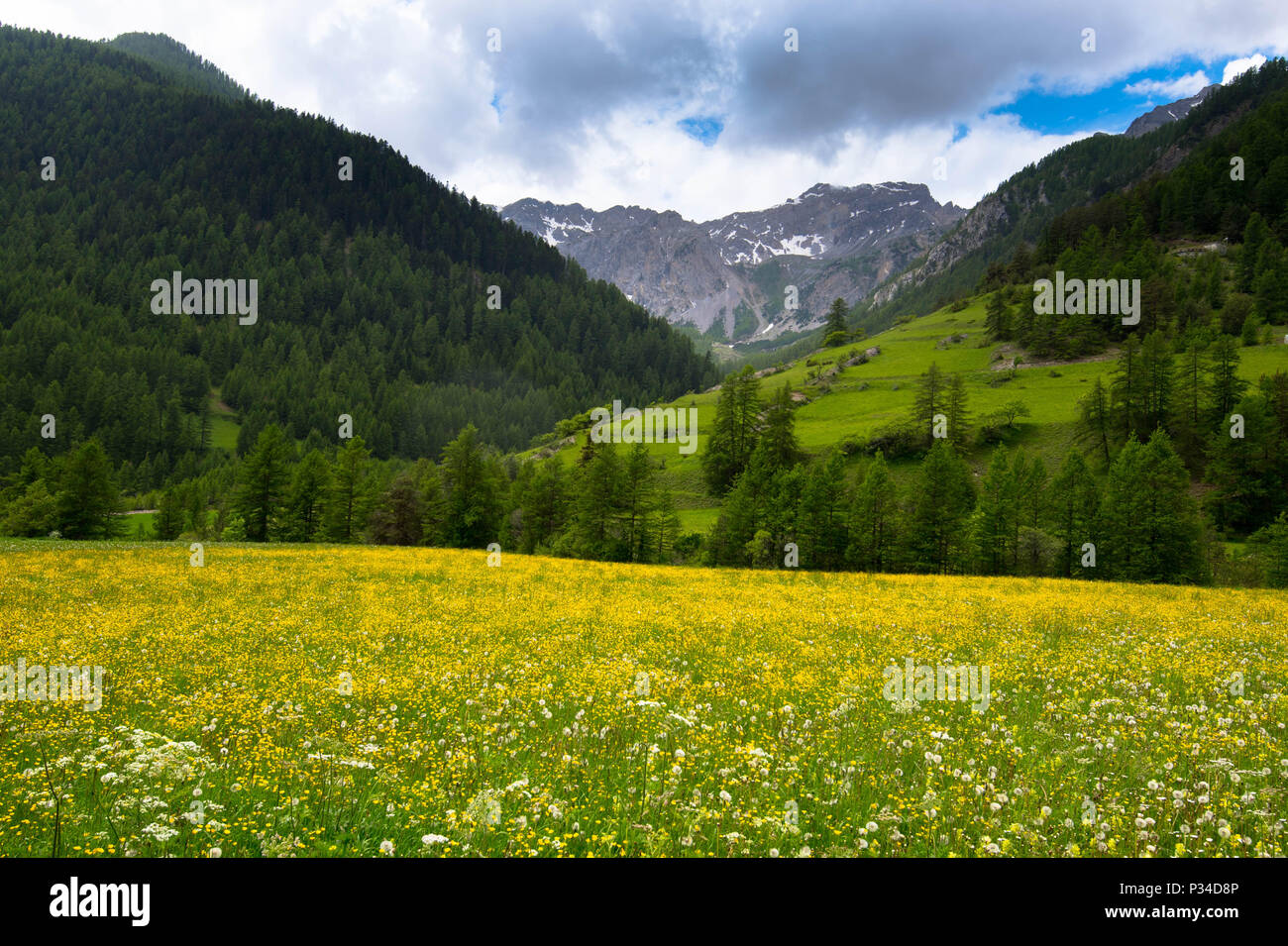 Landscape in the Queyras region in the french alps Stock Photo - Alamy