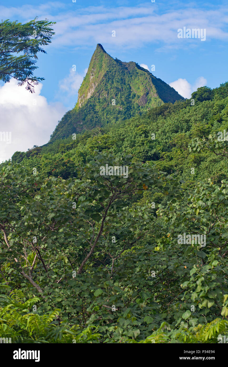 Mountain peak in the jungle covered hills of Moorea with a backdrop of ...