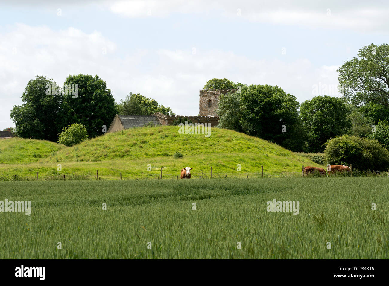 The motte and bailey castle and All Saints Church, Lilbourne ...