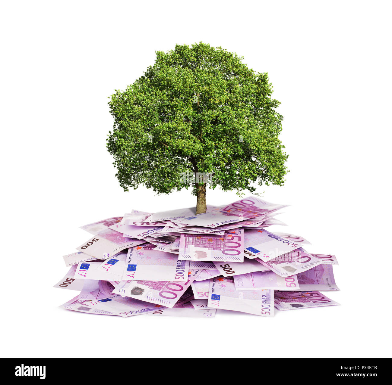 Investment tree hi-res stock photography and images - Alamy