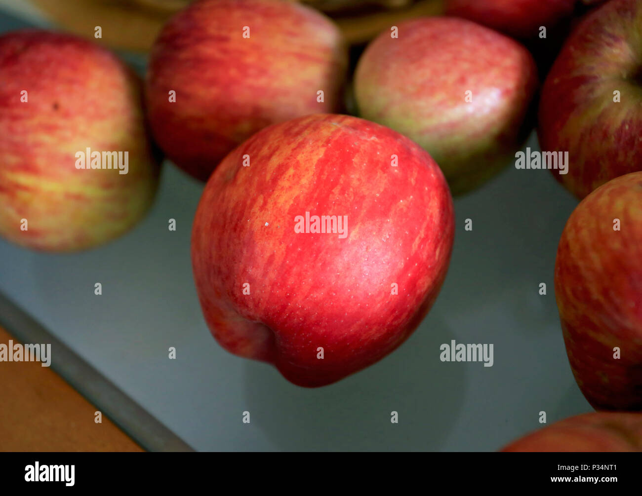Amateur market garden hi-res stock photography and images - Alamy