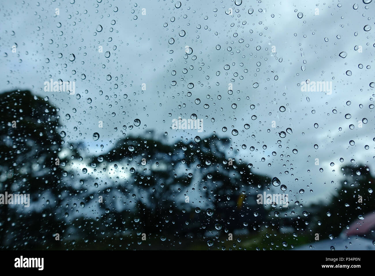 Water droplets on window Stock Photo - Alamy