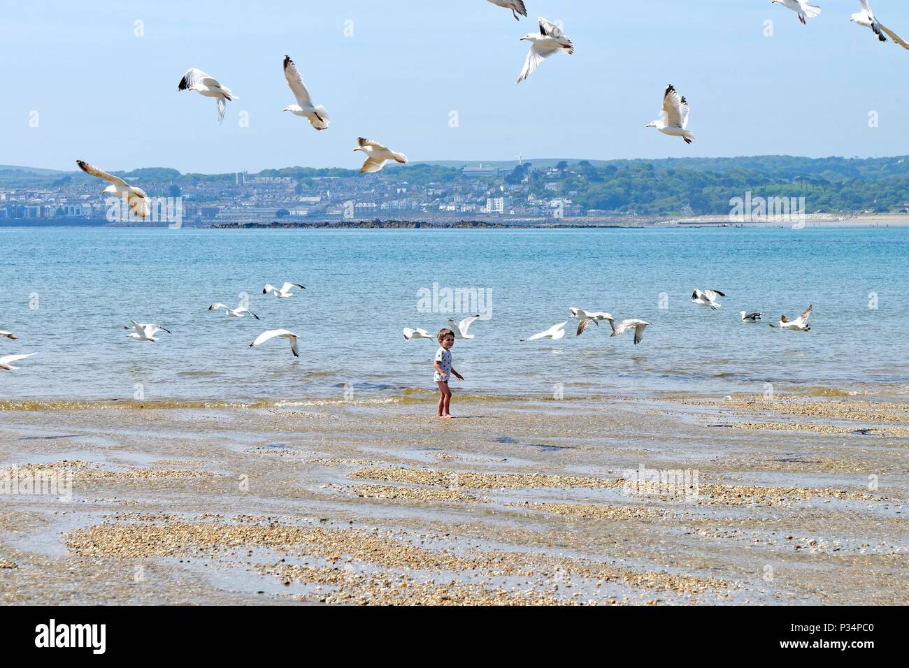 Little boy chasing seagulls on the beach at Mounts Bay, Penzance ...