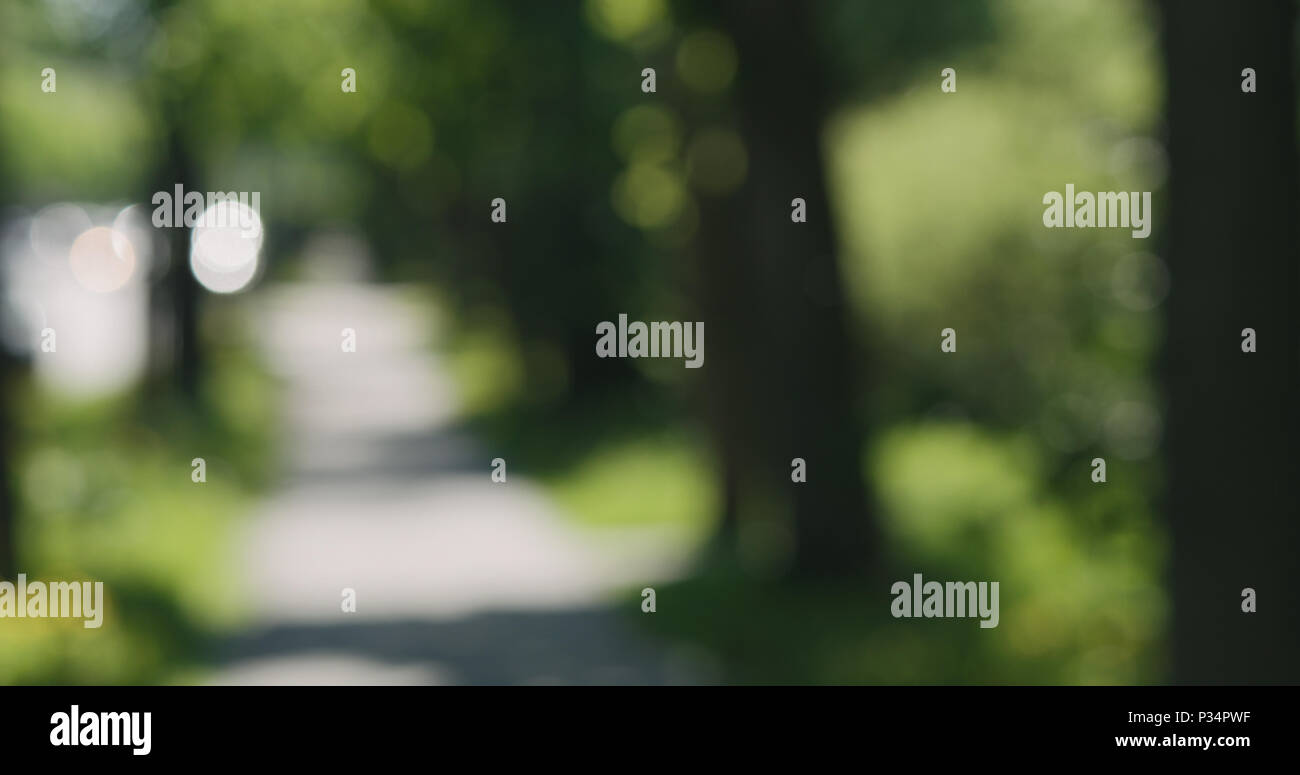 blurred background of town ally with poplar fluff floating in air, wide ...