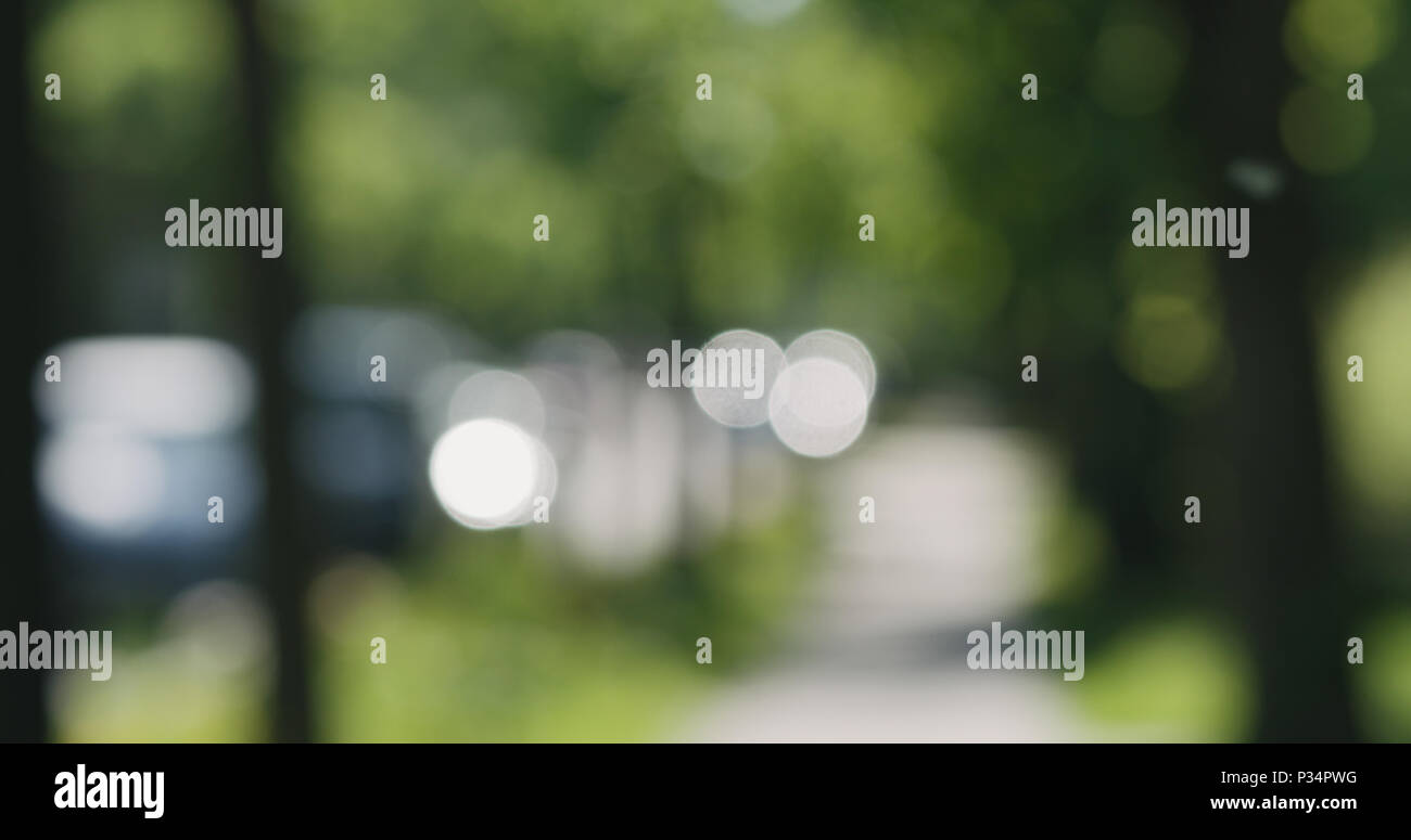 blurred background of town ally with poplar fluff floating in air, wide ...
