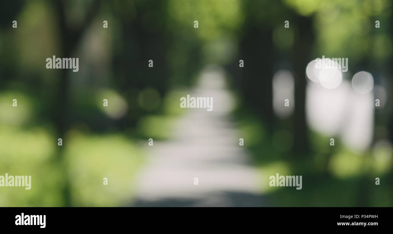 blurred background of town ally with poplar fluff floating in air, wide ...