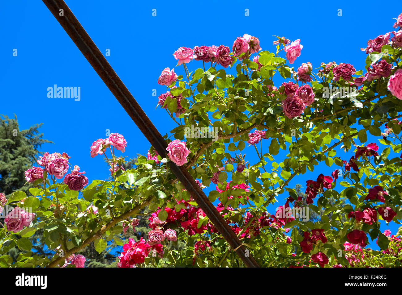 Colorful color season hi-res stock photography and images - Alamy