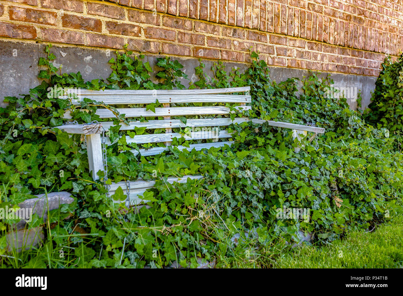 Wooden bench overgrown with lush vegatation with a brick wall behind ...