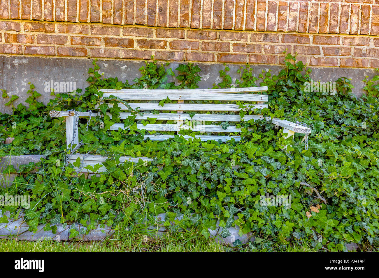 Wooden bench overgrown with lush vegatation with a brick wall behind ...