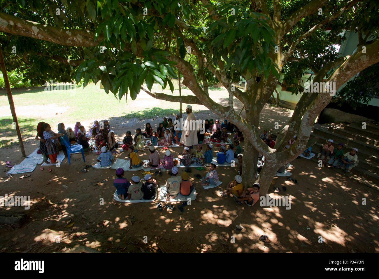 School under a tree hi-res stock photography and images - Alamy