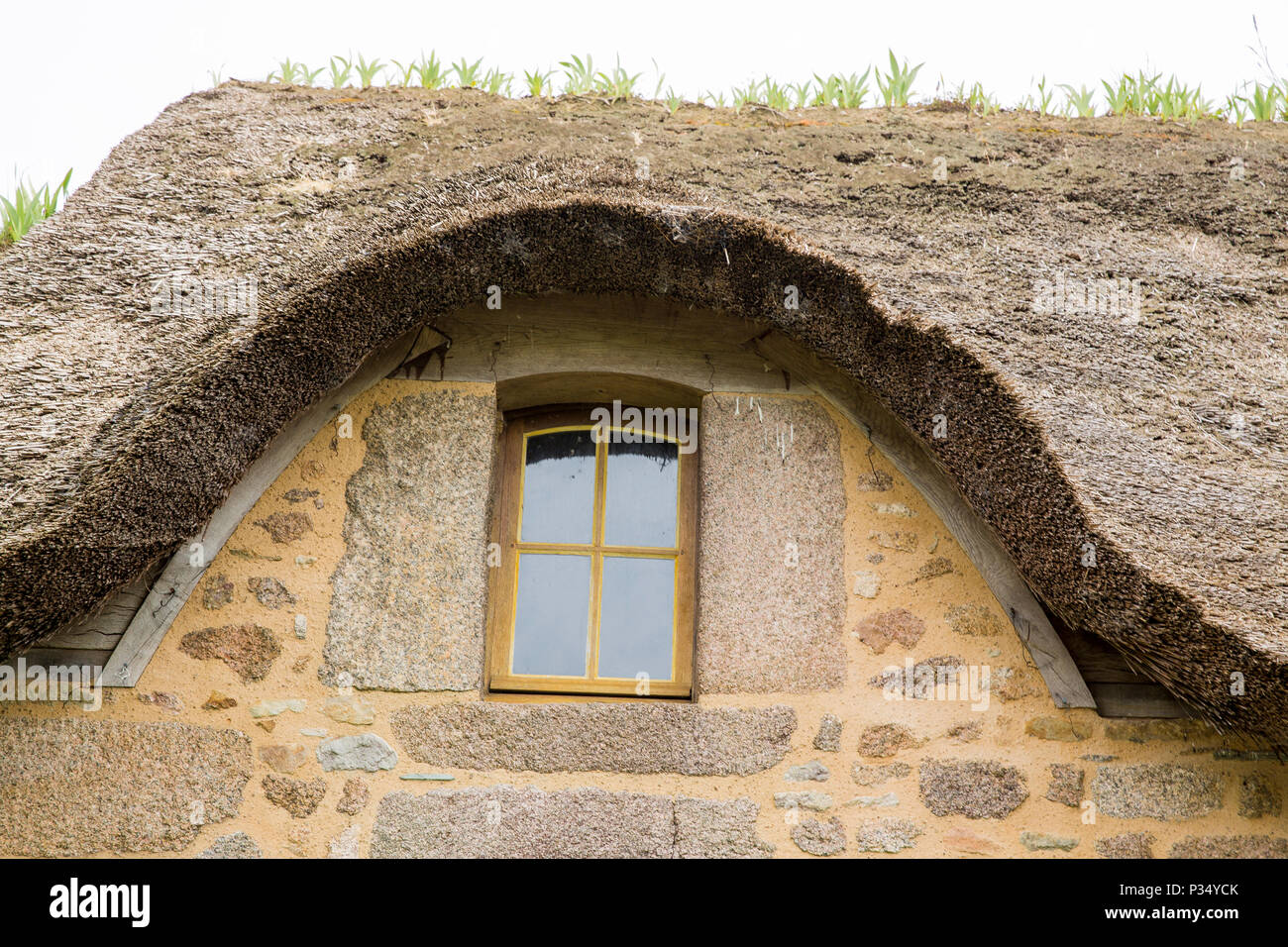 Close-up of cottage with dormer thatched roof Stock Photo - Alamy